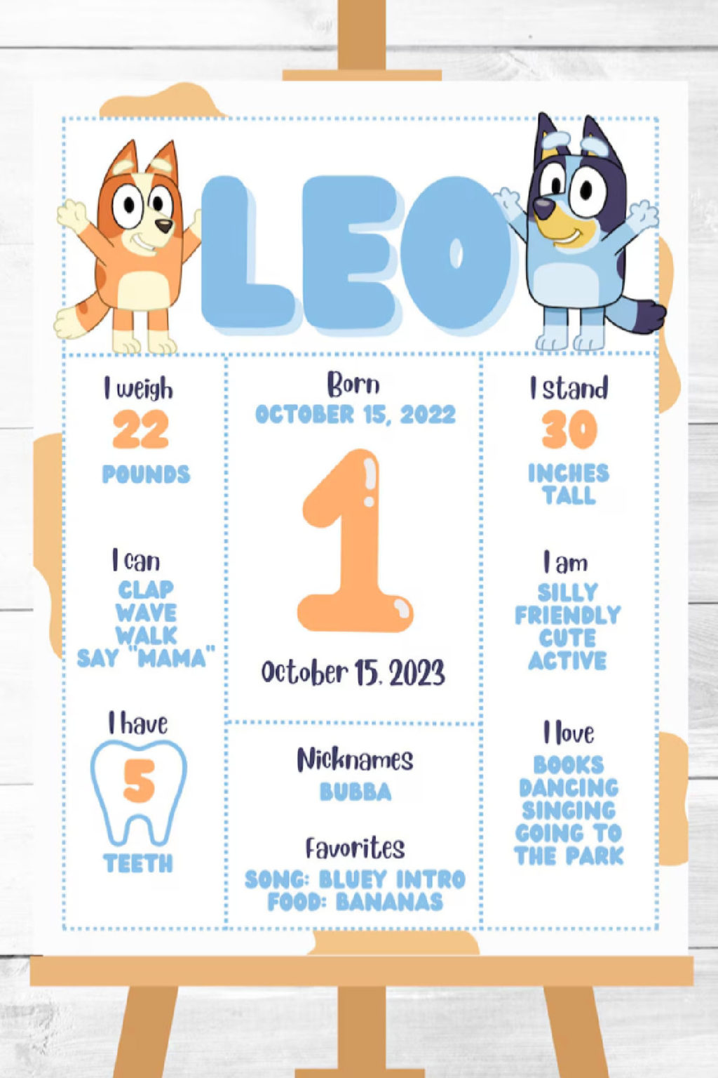 15 Bluey Birthday Decorations Ideas - Simple Home Spaces