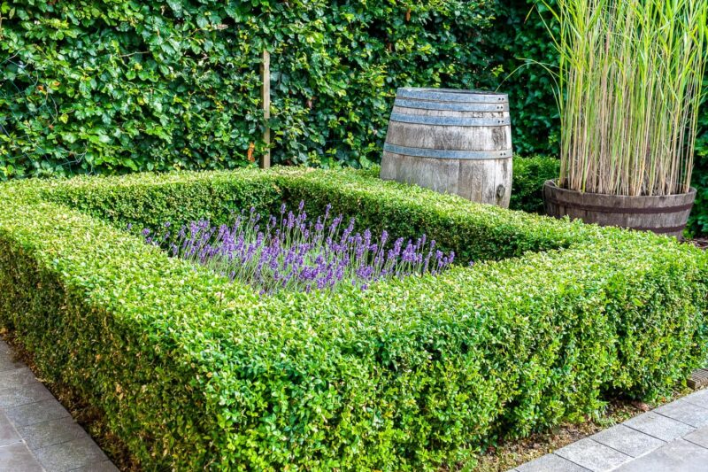 15 Boxwood Landscaping Ideas That Make Your Yard Look Effortlessly ...