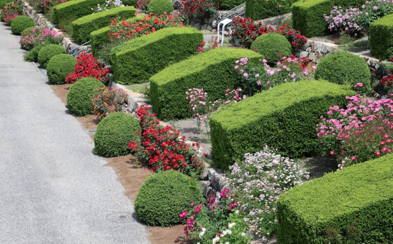 15 Boxwood Landscaping Ideas That Make Your Yard Look Effortlessly ...